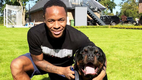 Sterling chi 15.000 bảng mua 'siêu khuyển' - Bongdaplus.vn
